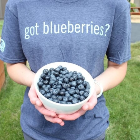 The Benefits of Mindful Berry Picking - Southcentral Foundation